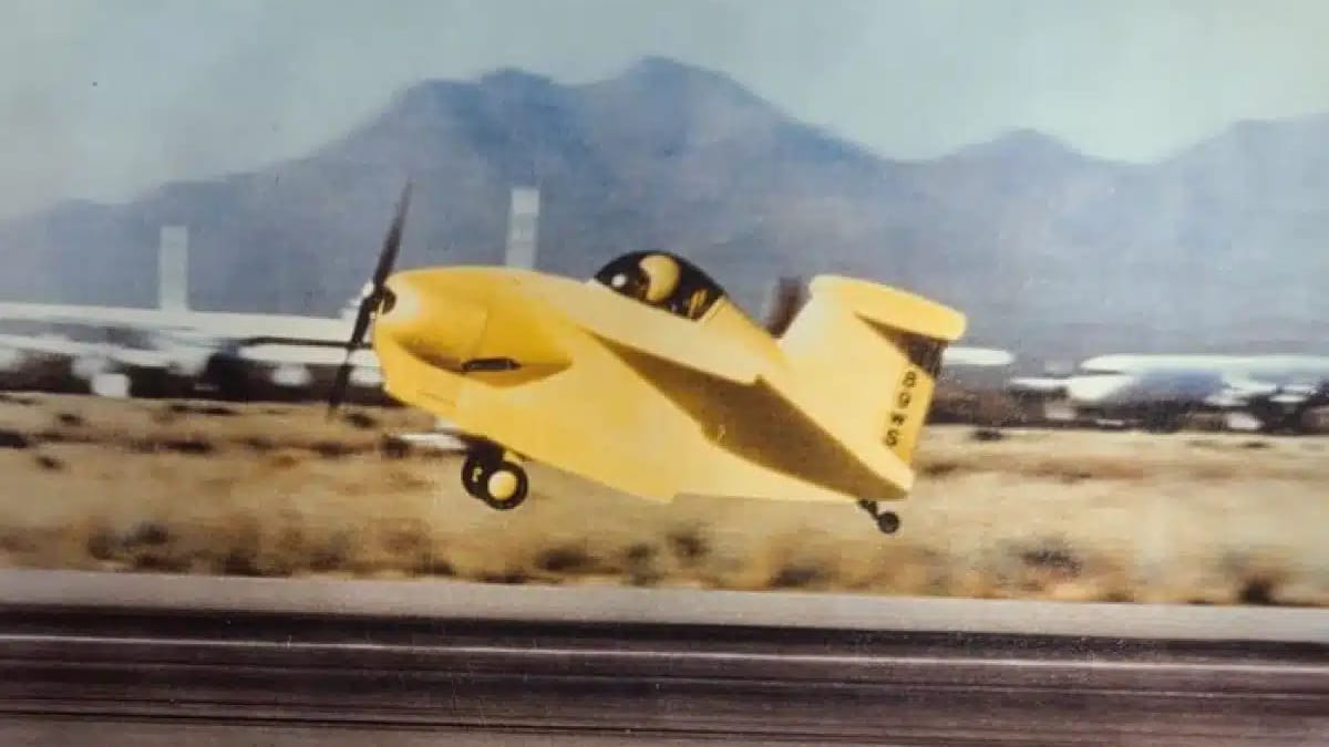 Starr Bumble Bee II was built purely to acquire ‘World’s Smallest Plane ...