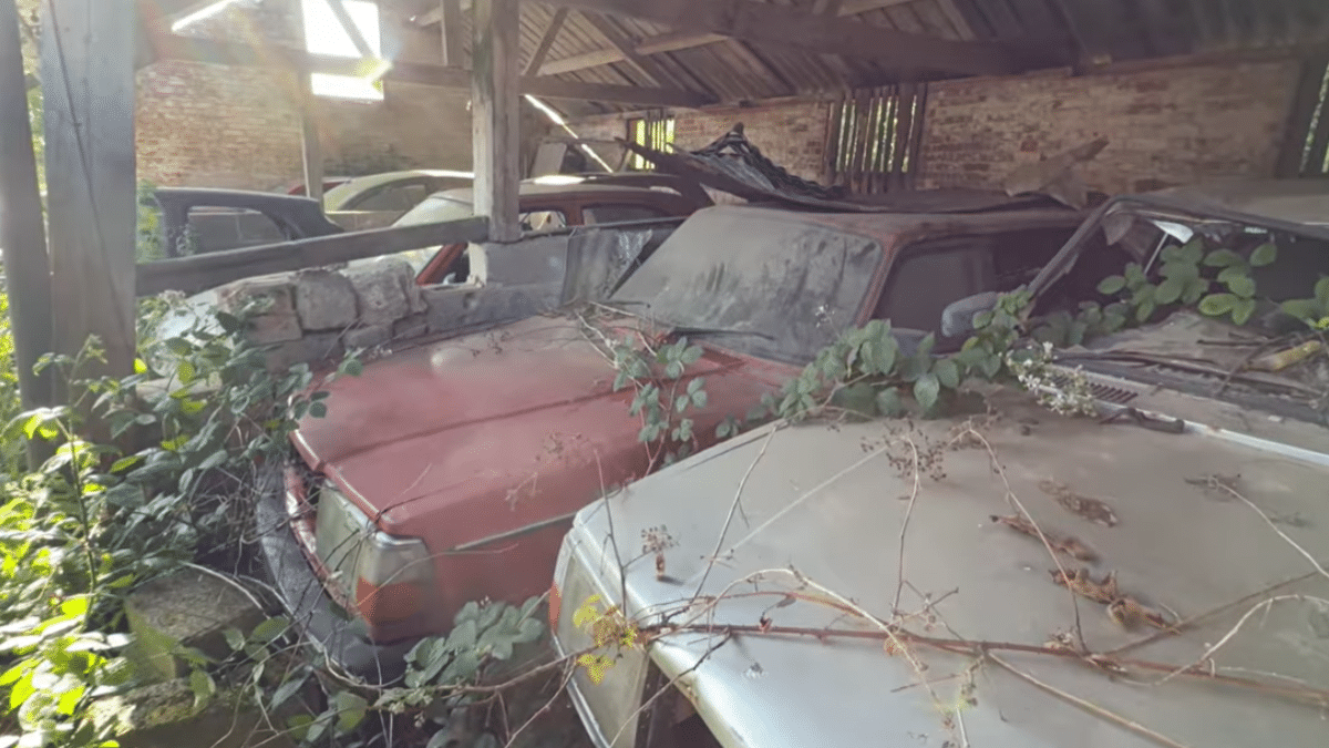 Even a classic Cadillac couldn't avoid being abandoned in this strange ...