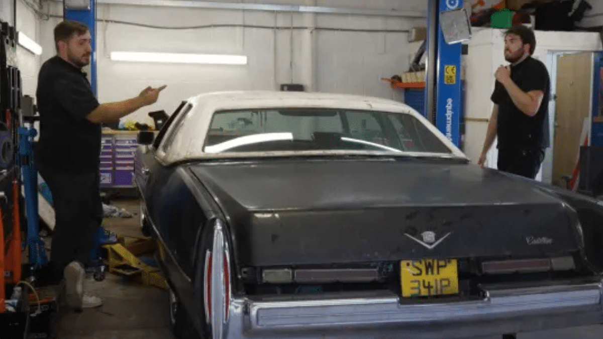 Drivers have found some incredible things in the used cars they’ve ...