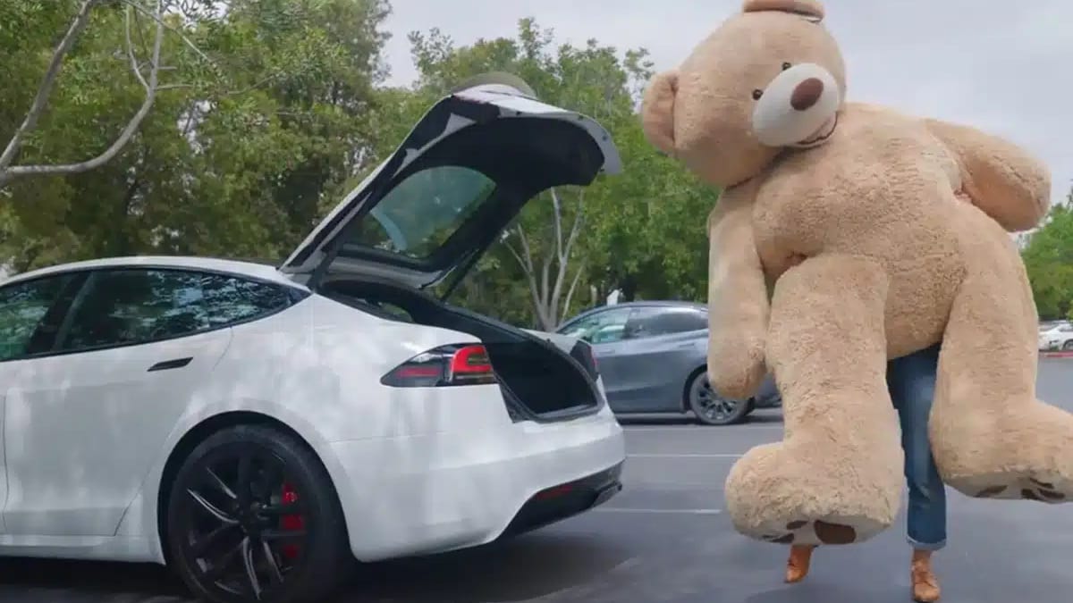 Some Tesla owners just got a new update to make their life easier