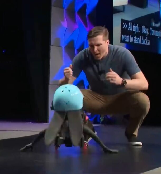 Disney unveils its newest prototype, a roller skating bunny