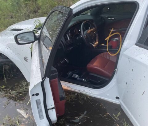 Somebody crashed this Dodge Charger in a swamp and just left