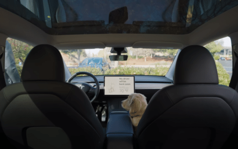 Tesla's Dog Mode now stops smart dogs from opening windows