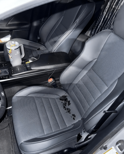 Drivers warned against following Labubu doll car trend after strange ...