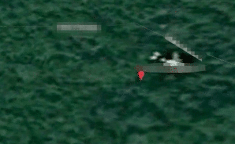 Expert claims to have found wreckage of MH370 on Google Maps