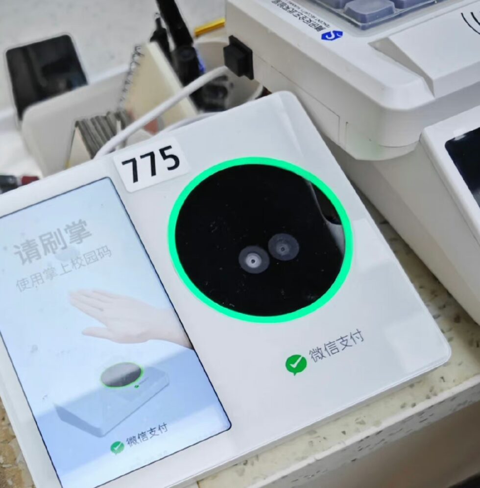 You can now pay for things in China using the palm of your hand