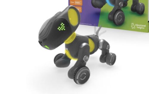 CES robots – Top coolest robots just unveiled