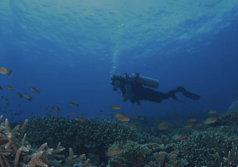 Inside the 'underwater space station' designed for aquanauts