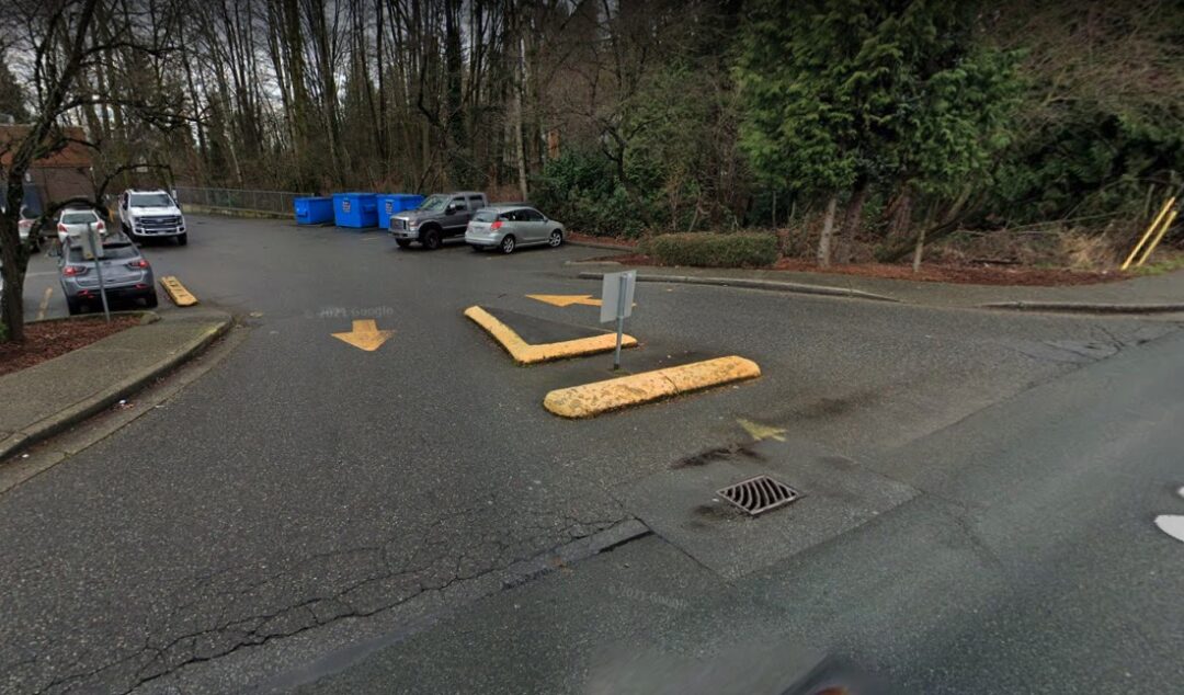 Embarrassed driver turtles her Tesla Model 3 on concrete lane divider