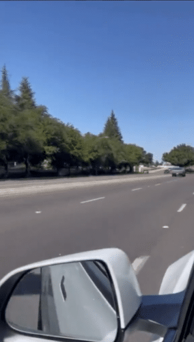 Side angle shows Tesla Cybertruck is a 'beast of the road'