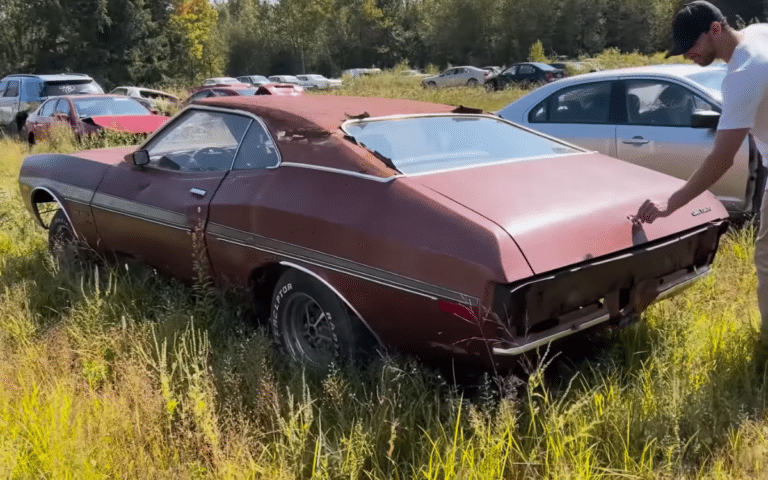 This is the greatest ever collection of -rare Ford Mustangs
