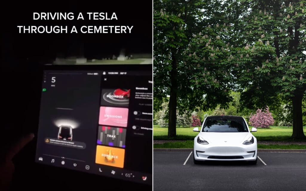 Tesla spots 'ghosts' walking around cemetery