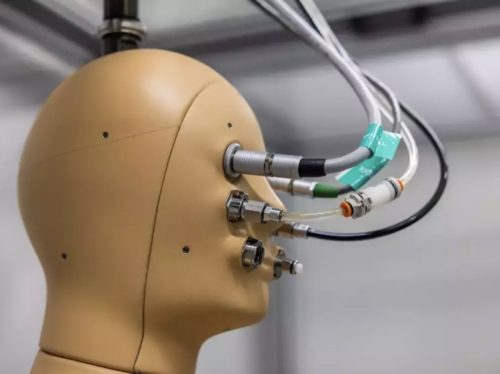 The world's first 'breathing, sweating, and shivering' robot