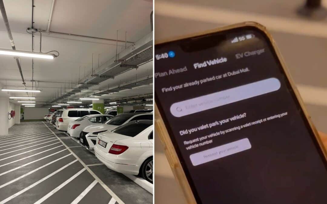 New footage shows India's lunar rover 'playfully frolicking’