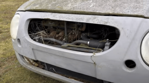 Man pulls back cover to reveal a fake 90s sports car and realizes he ...