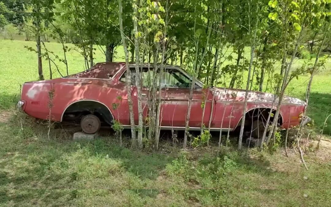 Mustang abandoned in cow field for 30 years - will it run?