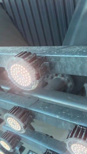 This is what the Las Vegas Sphere looks like up close