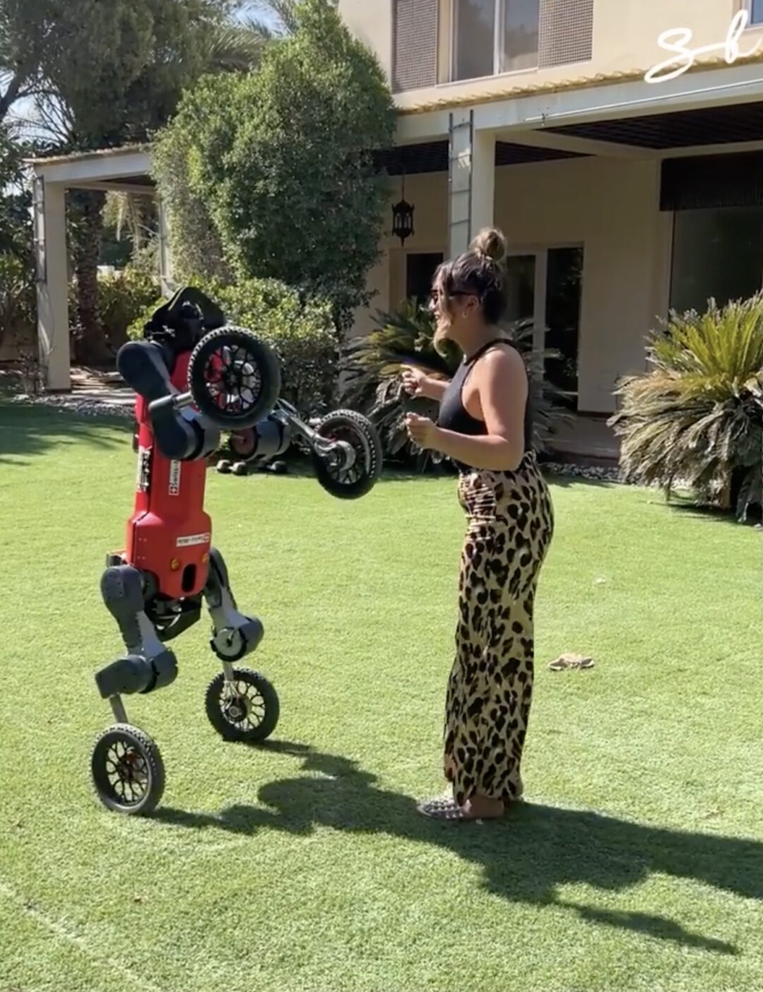 This Swiss-Mile robot comes with a supercar price tag