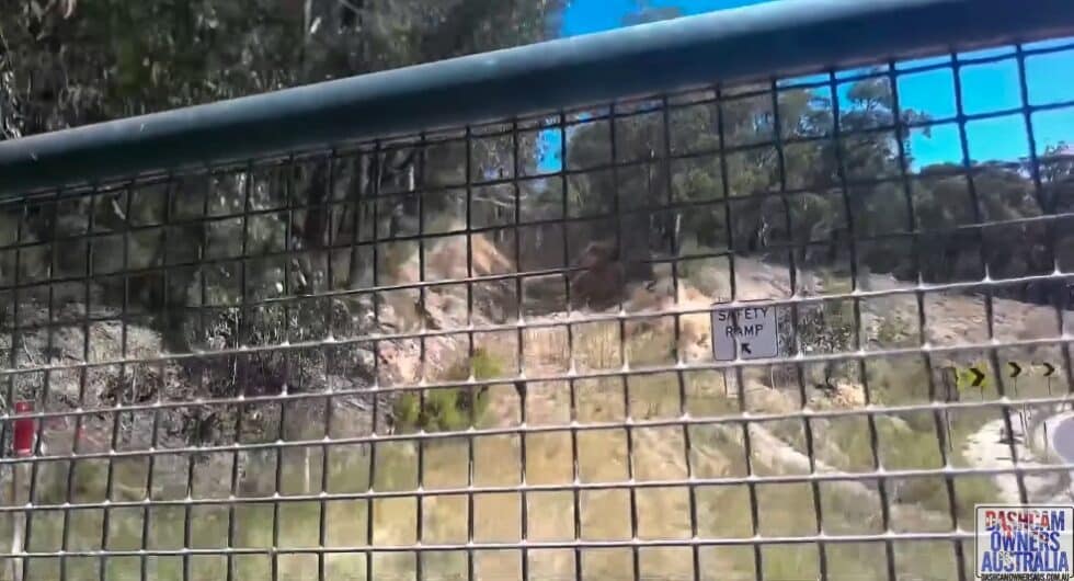 Terrifying moment truck's brakes FAIL on mountain highway