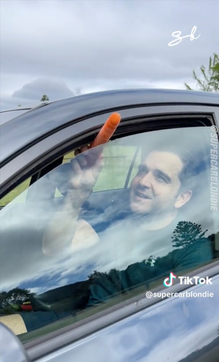 The Toyota Rav4 window finger test is terrifying