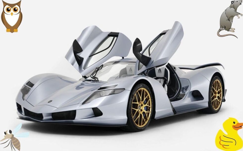 Expensive and futuristic, these are the world’s fastest electric cars