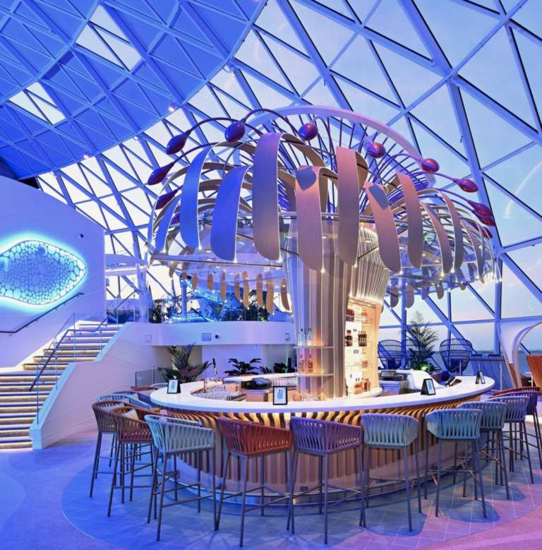 World's largest cruise ship saves 14 people stranded at sea